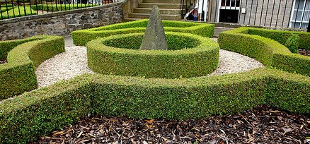 Meredith Nursery « Meredith Nursery Weblog